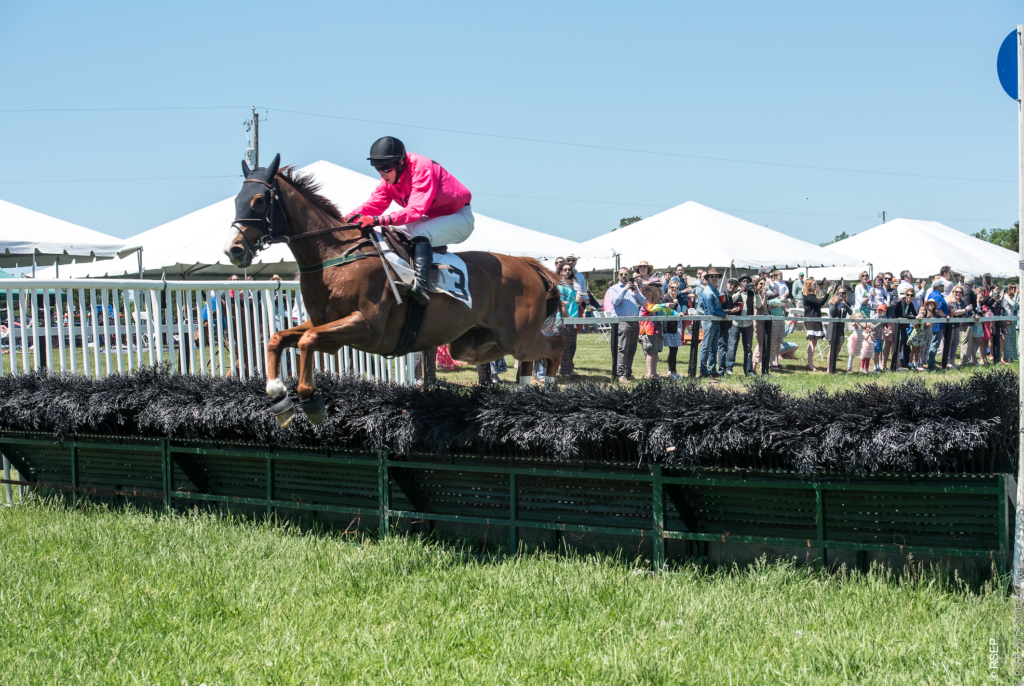 45th Running of the Foxfield Races - C-VILLE Weekly
